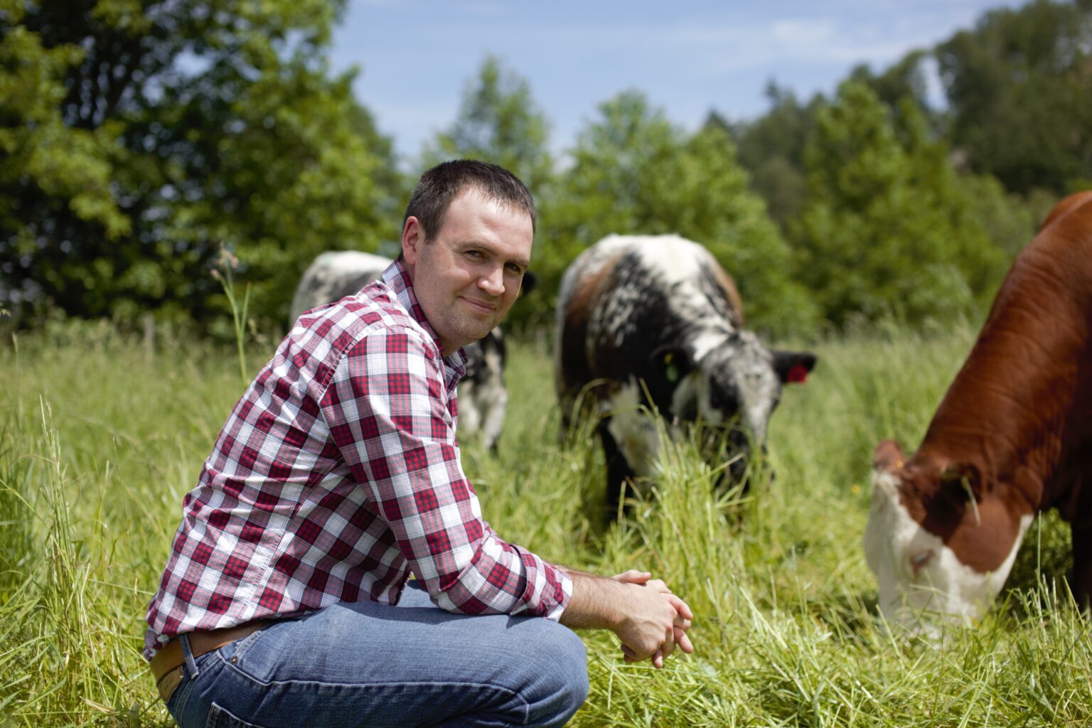 About US – Abbotsford Veterinary Clinic